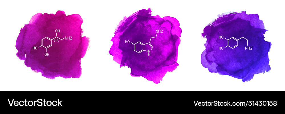 Neurotransmitters Royalty Free Vector Image - VectorStock