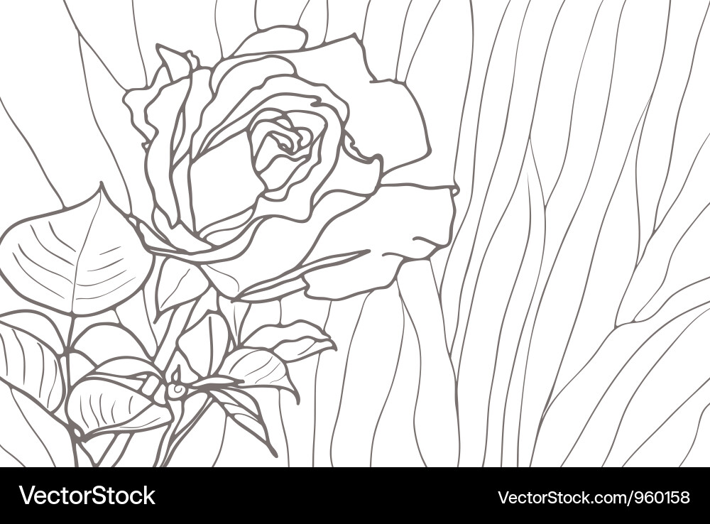 Rose Royalty Free Vector Image - VectorStock