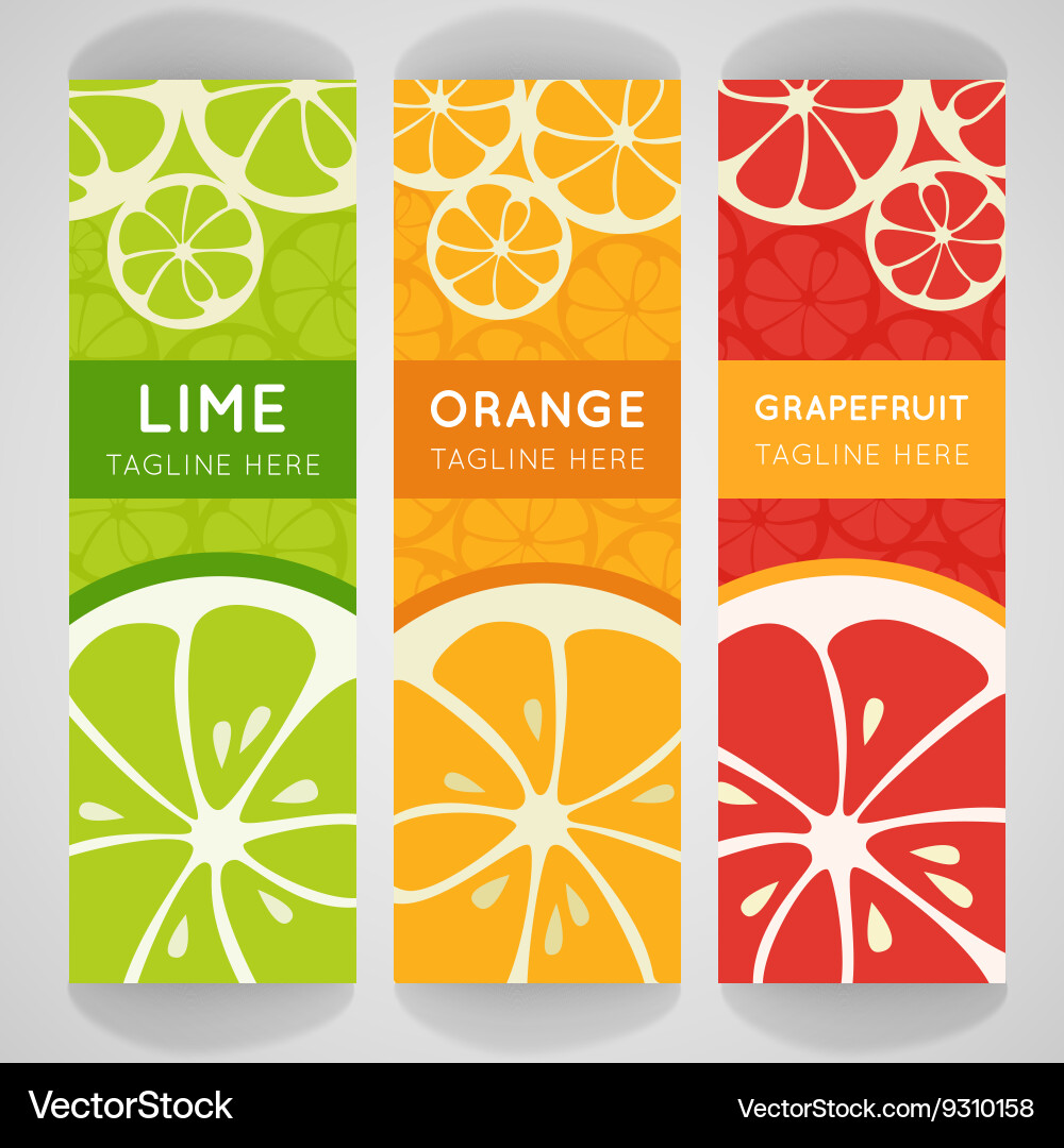 Three bright banner with stylized citrus fruit Vector Image