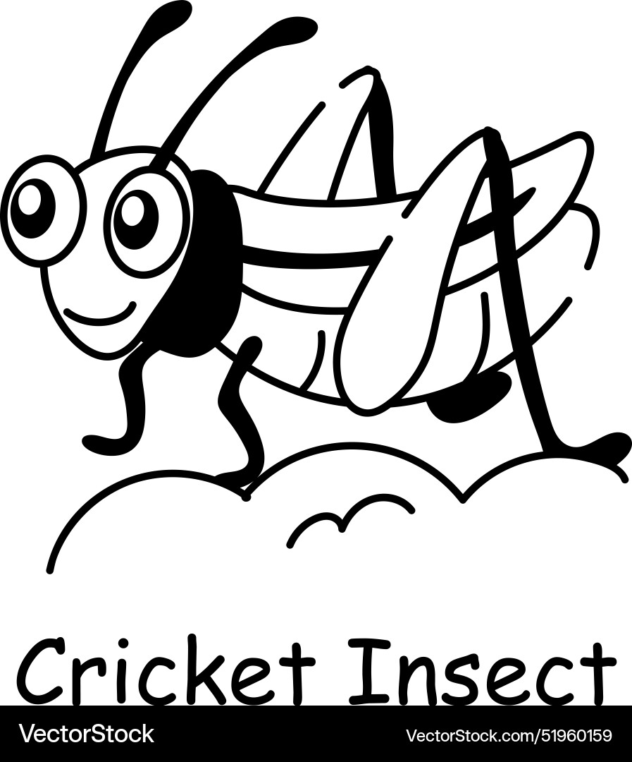 Cricket insect Royalty Free Vector Image - VectorStock