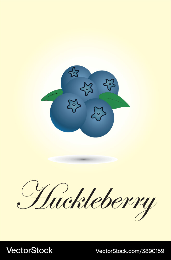 Huckleberry Royalty Free Vector Image - VectorStock