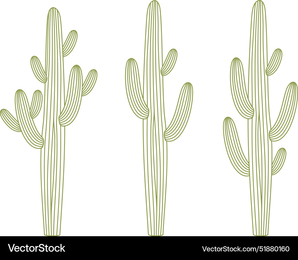 Cactus Royalty Free Vector Image - VectorStock