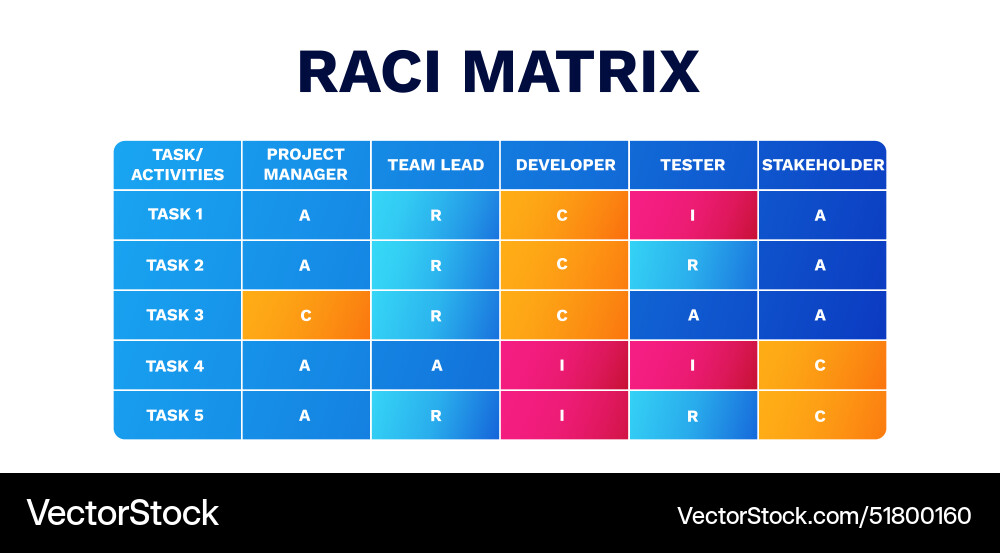 Raci matrix chart business with accountable Vector Image