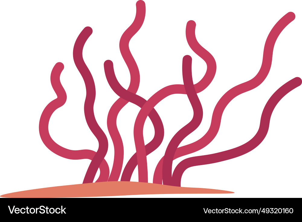Red algae seaweed flora on sea or ocean bottom Vector Image