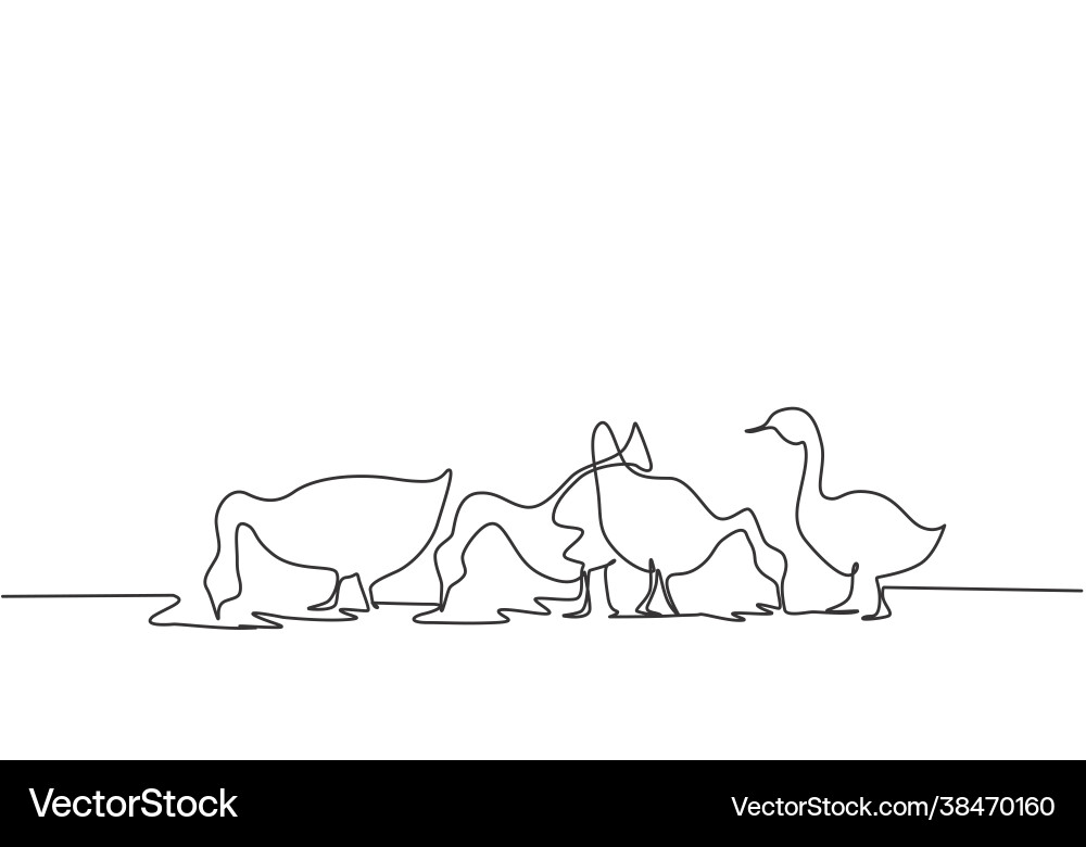 Single one line drawing geese are being Royalty Free Vector