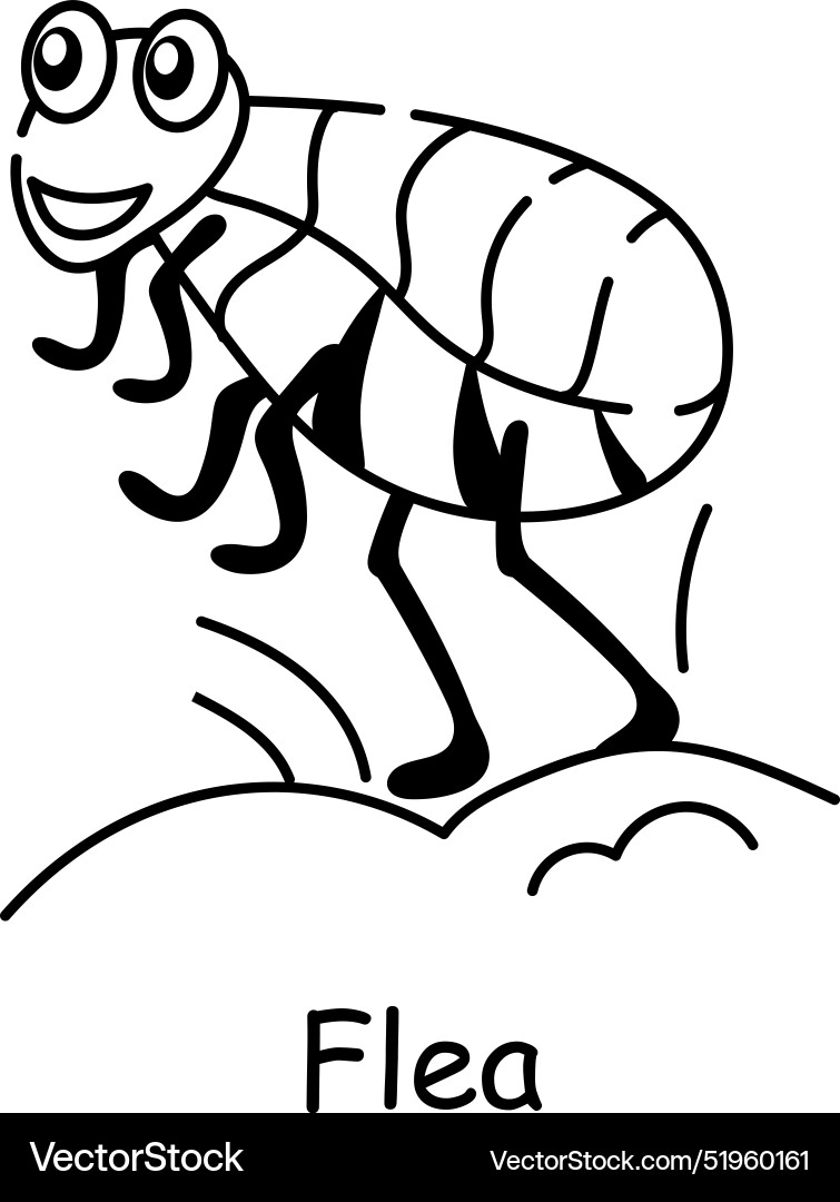 Flea Royalty Free Vector Image - VectorStock