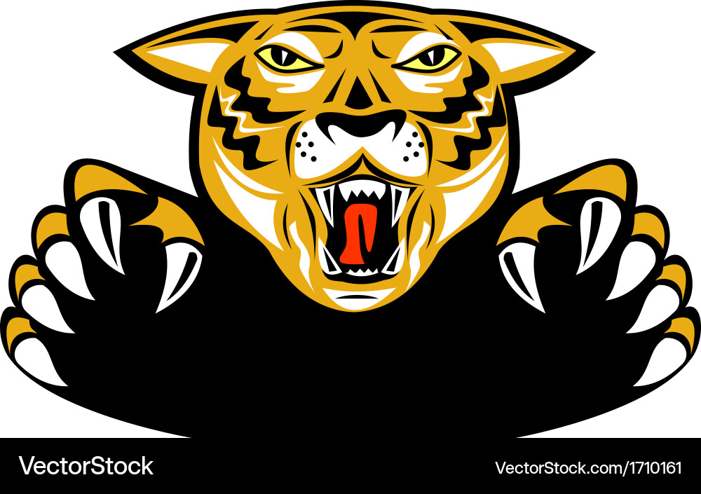 Tiger head attacking isolated Royalty Free Vector Image
