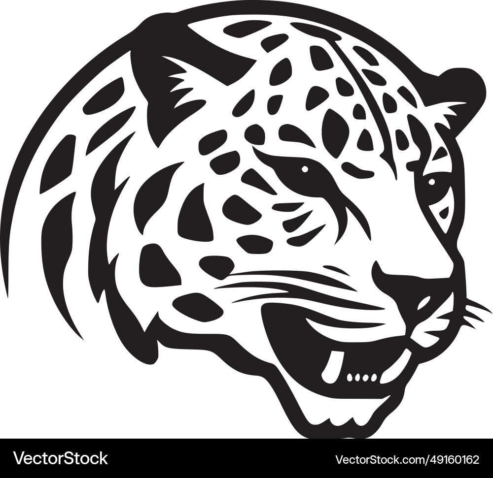 Leopard - black and white Royalty Free Vector Image