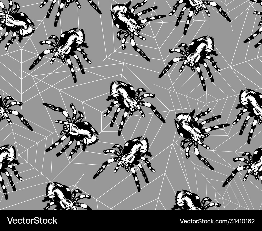 Spiders and webs on a grey background seamless Vector Image