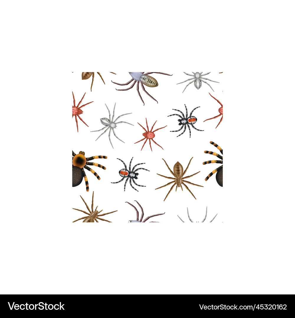 Spiders pattern realistic toxic Royalty Free Vector Image