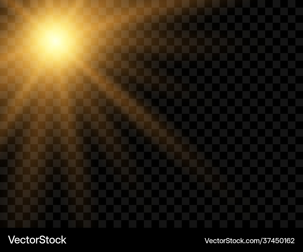 Sunlight on a transparent background Royalty Free Vector