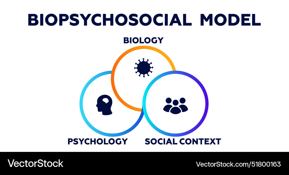 Biopsychosocial model infographic psychology Vector Image