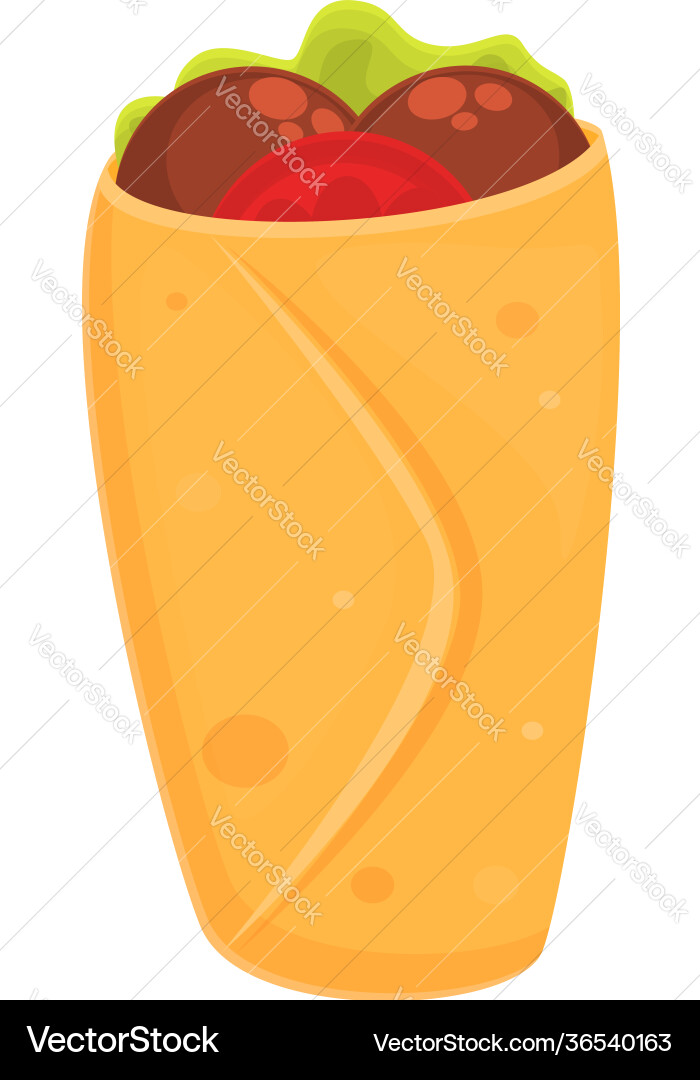 Falafel roll icon cartoon style Royalty Free Vector Image