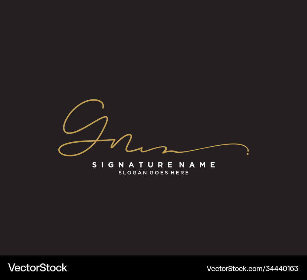 Letter gn signature logo template Royalty Free Vector Image