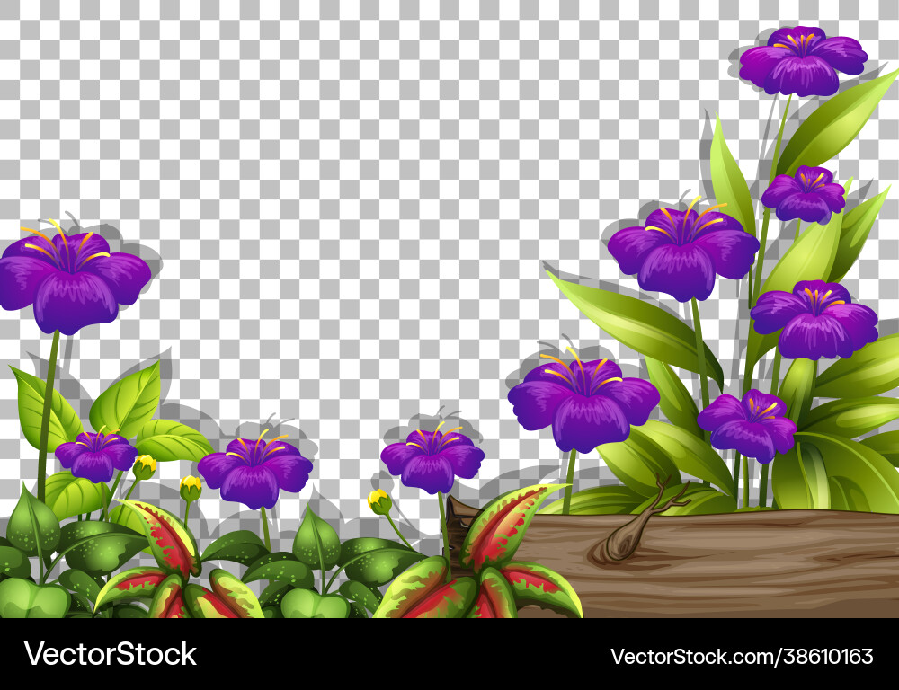 Purple flower frame template on transparent Vector Image