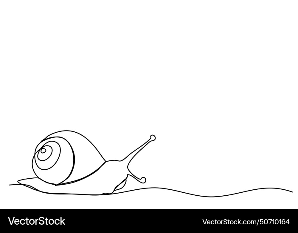 Snail one line drawing animation with alpha Vector Image