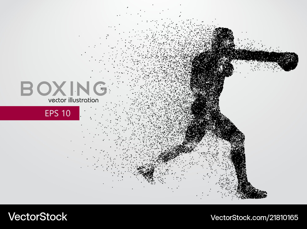 Boxing silhouette Royalty Free Vector Image - VectorStock