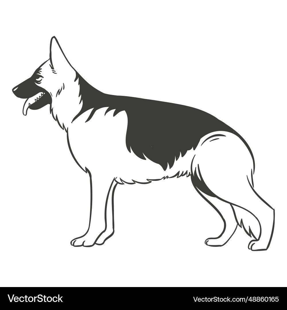German shepherd side hand drawn dog Royalty Free Vector