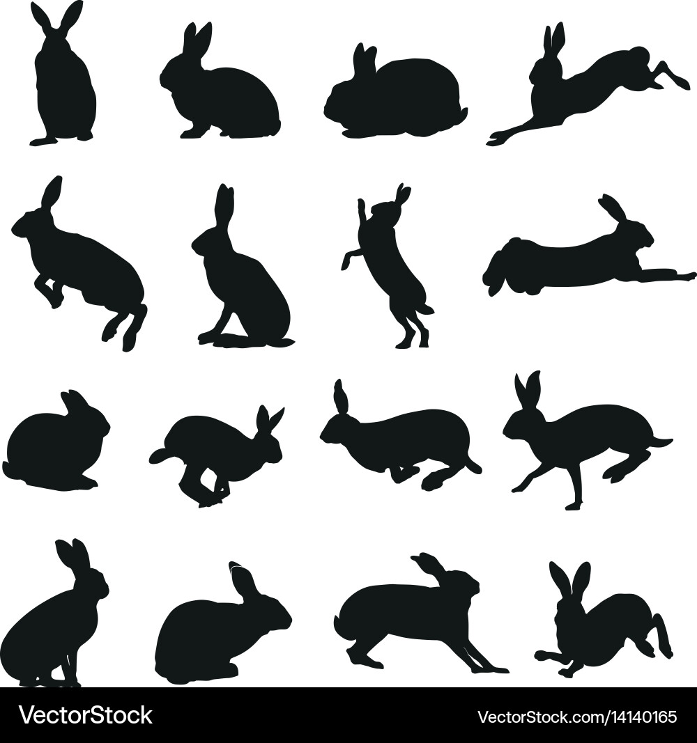 Rabbit Royalty Free Vector Image - VectorStock