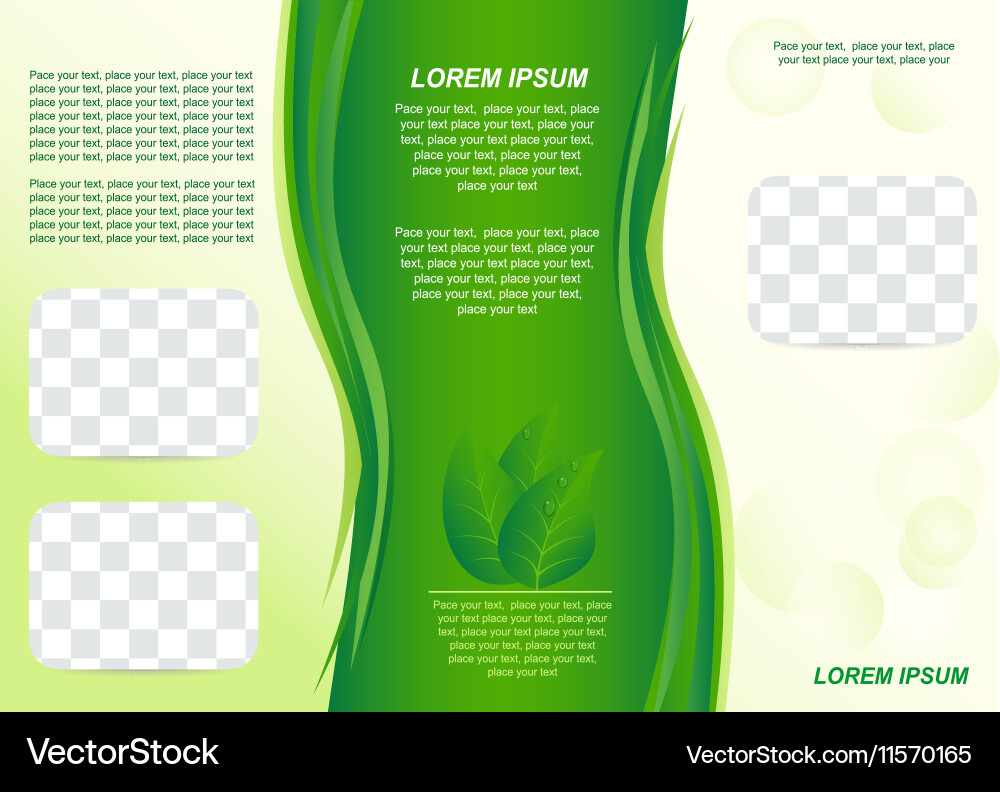 Template a4 Royalty Free Vector Image - VectorStock