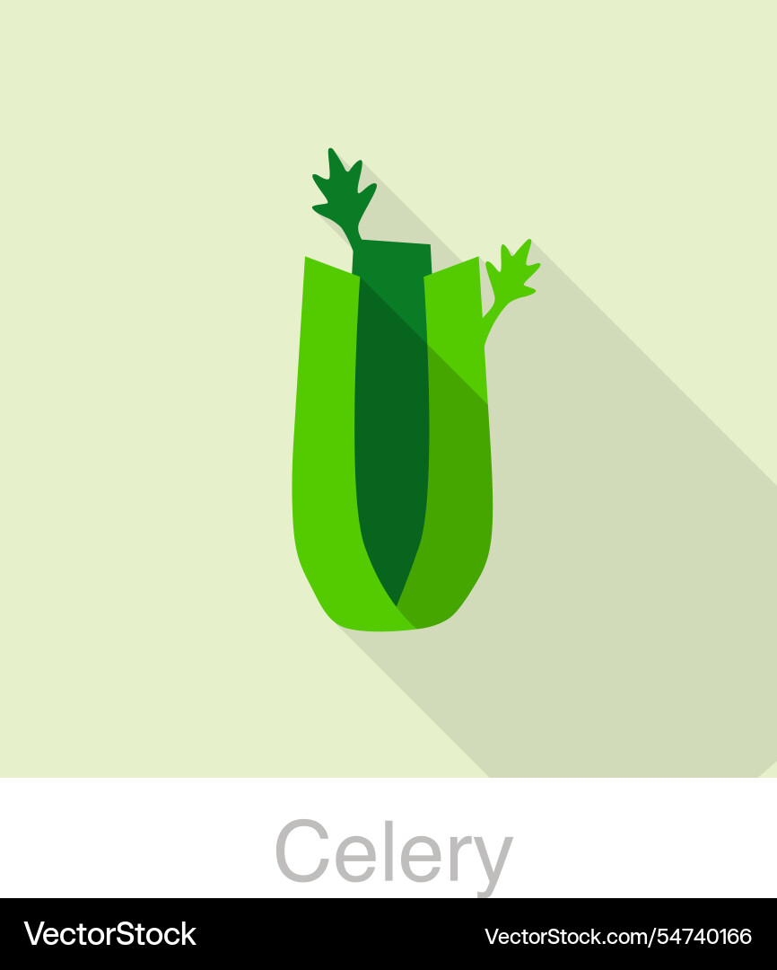 Celery vegetables food flat icon Royalty Free Vector Image