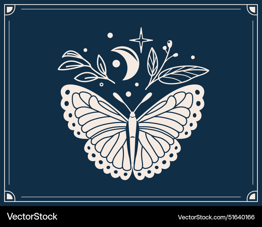 Mystic butterfly magic moth Royalty Free Vector Image