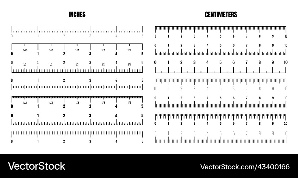 Realistic black centimeter and inch scale Vector Image