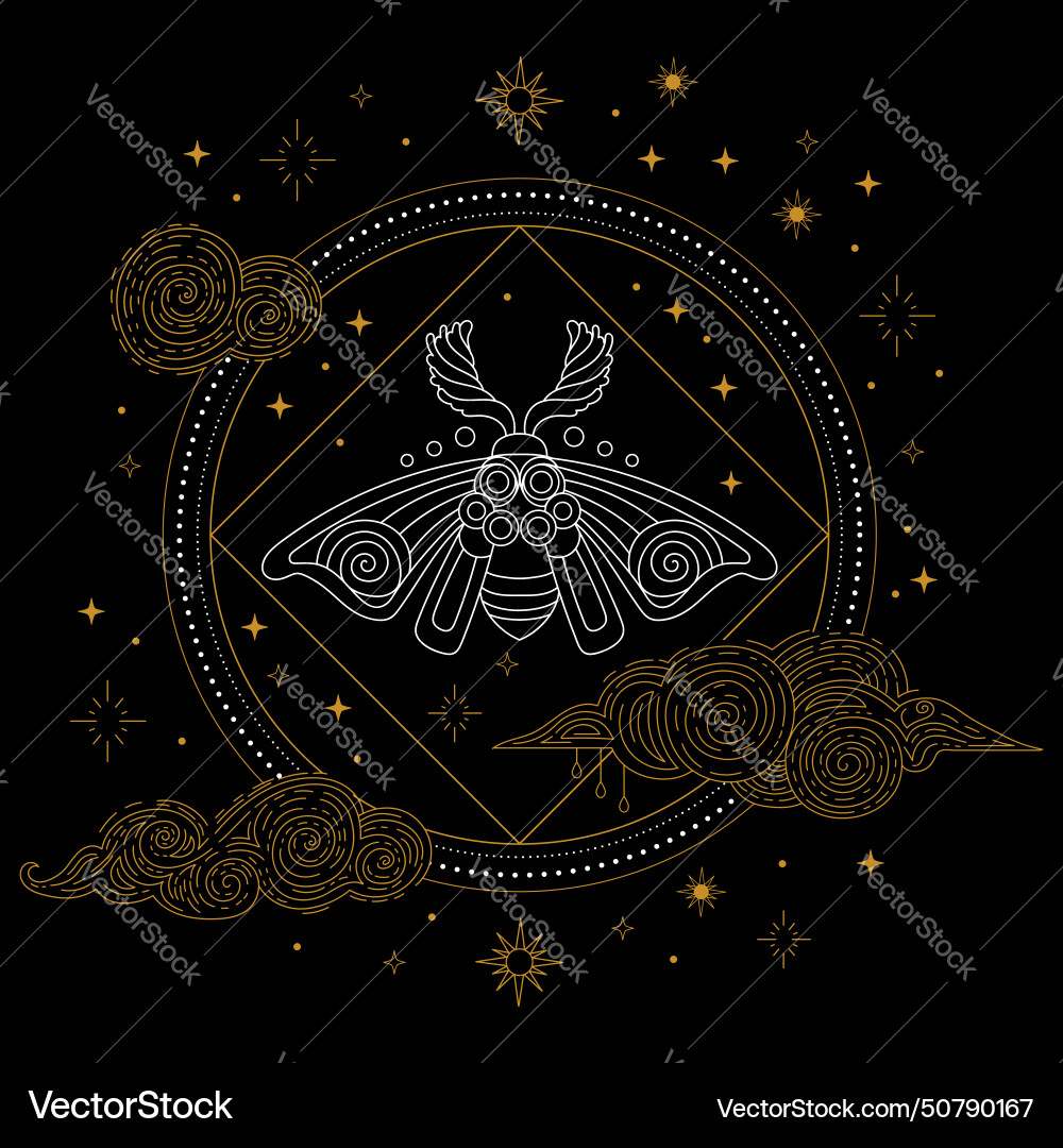 Celestial moth linear hand drawing Royalty Free Vector Image