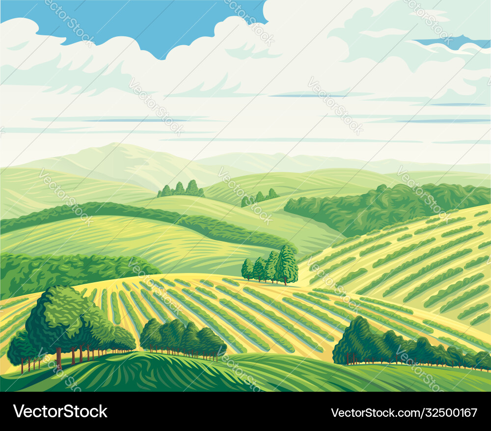 Rolling Hills and Fields Royalty Free Vector Image