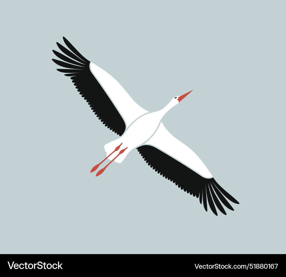 Stork Royalty Free Vector Image - VectorStock