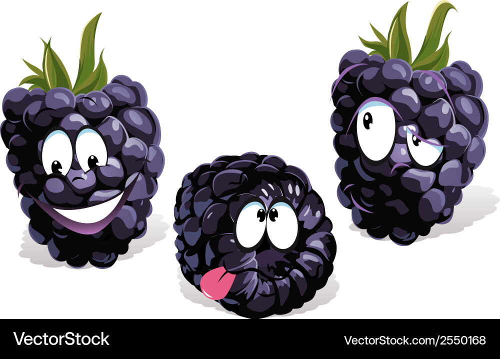 Blackberry cartoon Royalty Free Vector Image - VectorStock