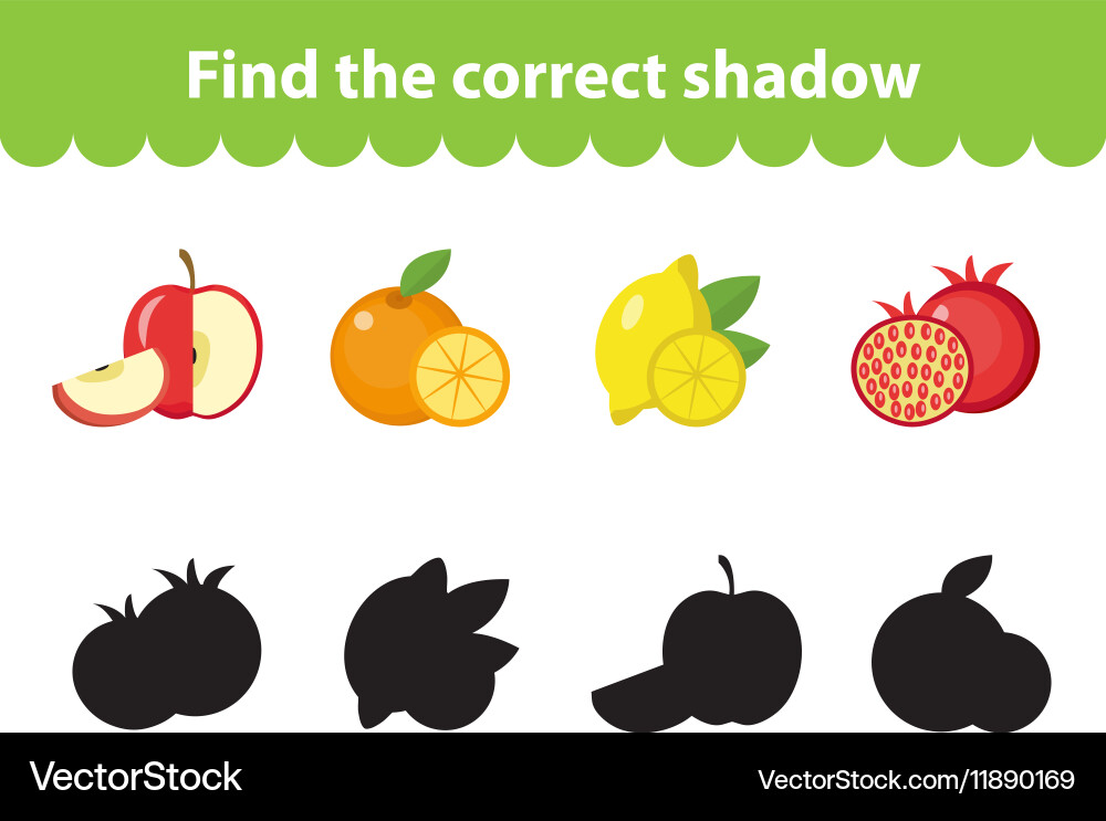 Children s educational game find correct shadow Vector Image