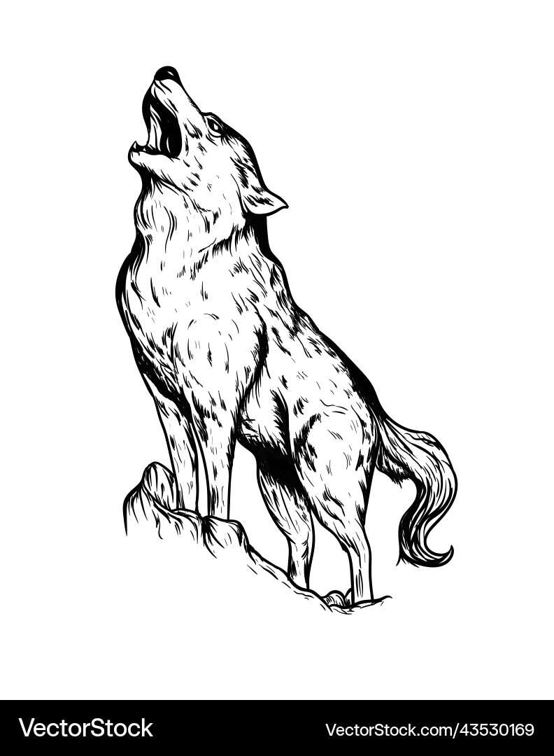 Hand Drawn Wolf Portrait Royalty Free Vector Image