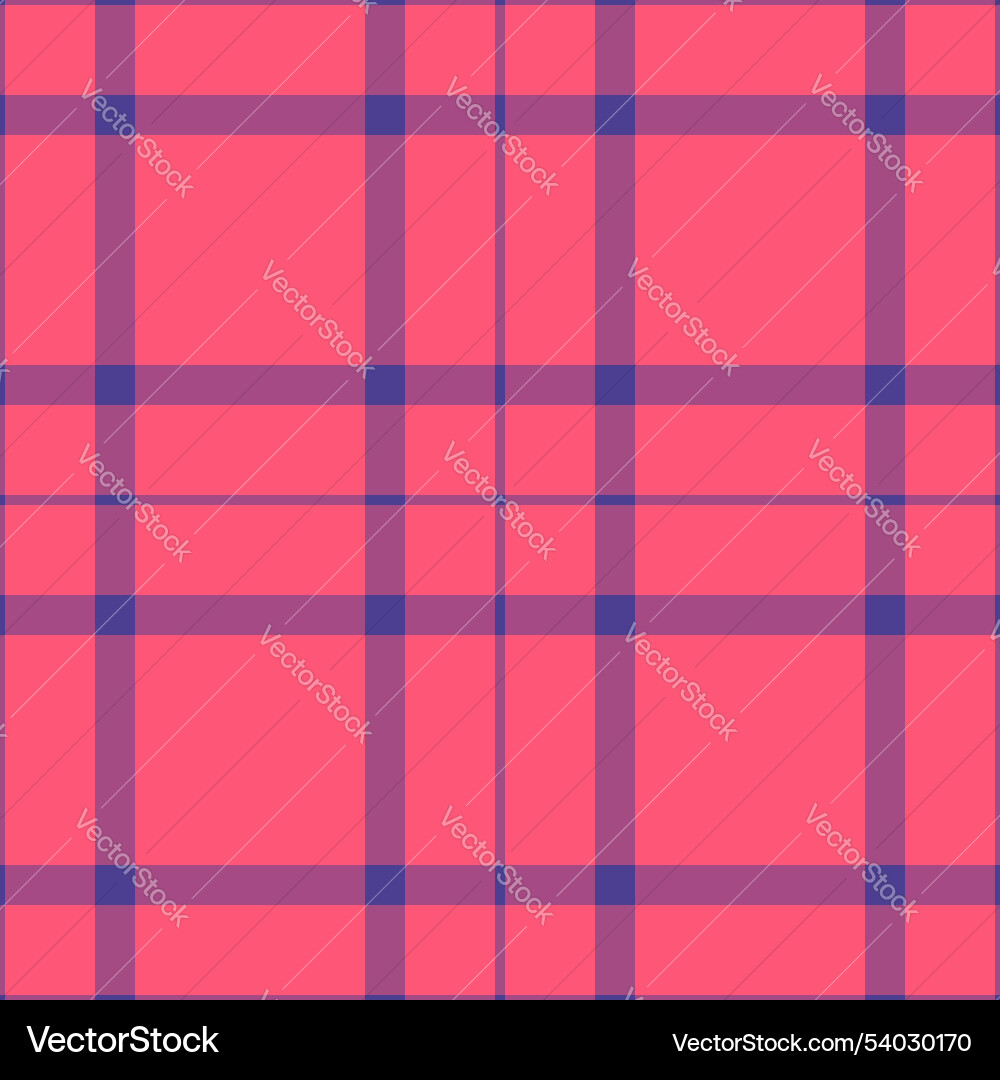Africa texture plaid royalty pattern fabric Vector Image