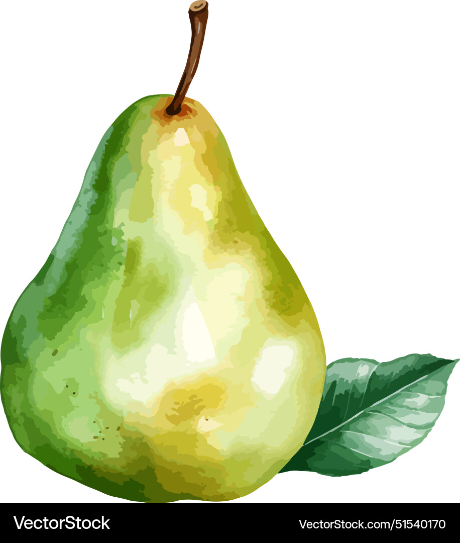 Pear clipart with isolated Royalty Free Vector Image