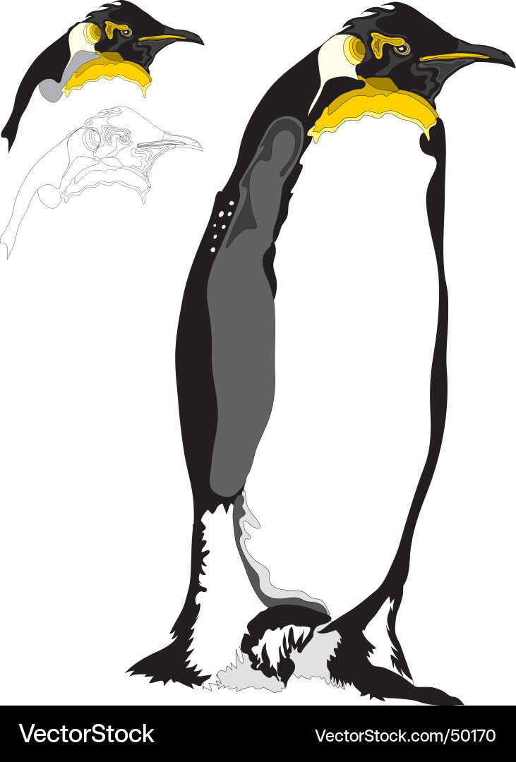 Penguin Royalty Free Vector Image - VectorStock