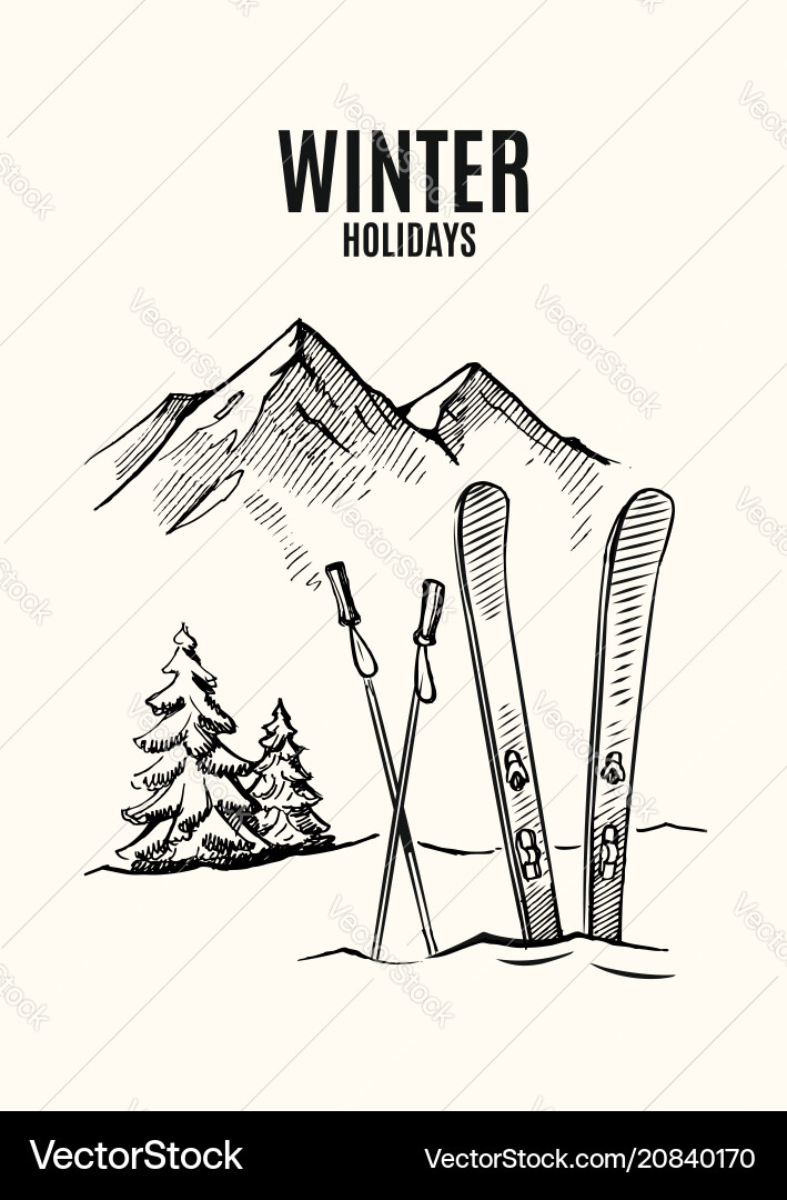 Ski in snow Royalty Free Vector Image - VectorStock