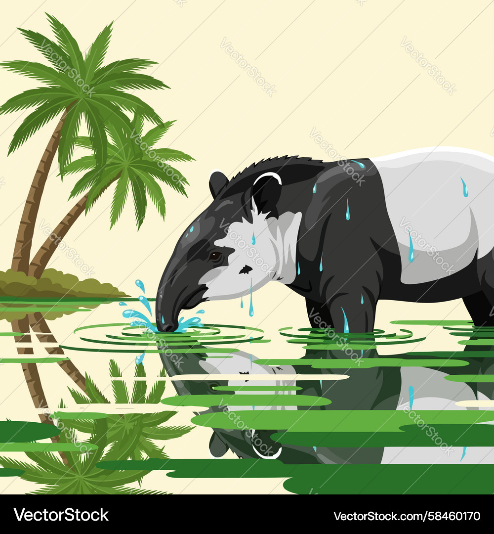 Tapir Drinking in Tropical Pond Royalty Free Vector Image