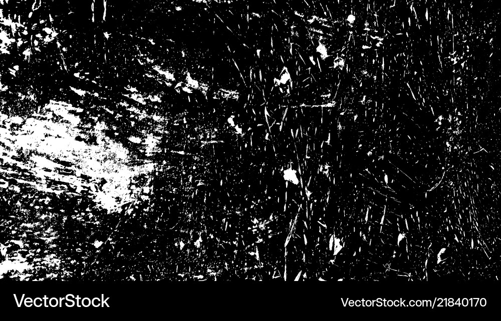 Wide distressed texture Royalty Free Vector Image