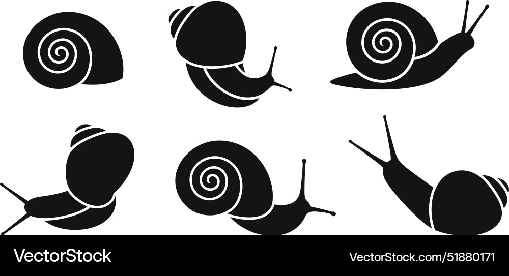 Snail Royalty Free Vector Image - VectorStock