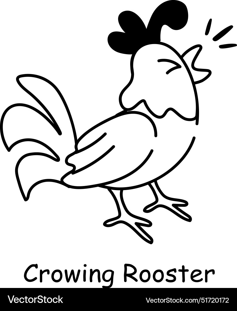 Crowing rooster Royalty Free Vector Image - VectorStock