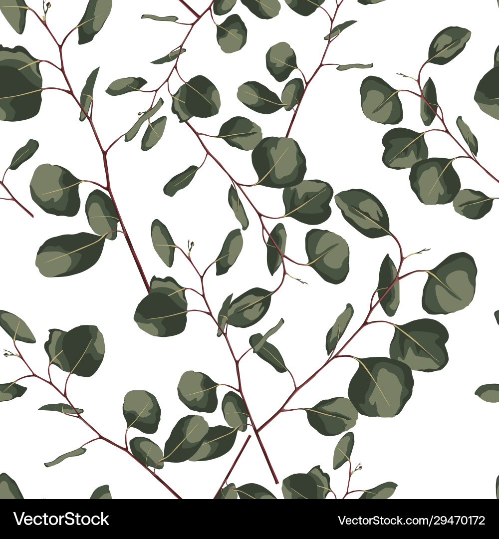 Eucalyptus Watercolor Pattern Royalty Free Vector Image