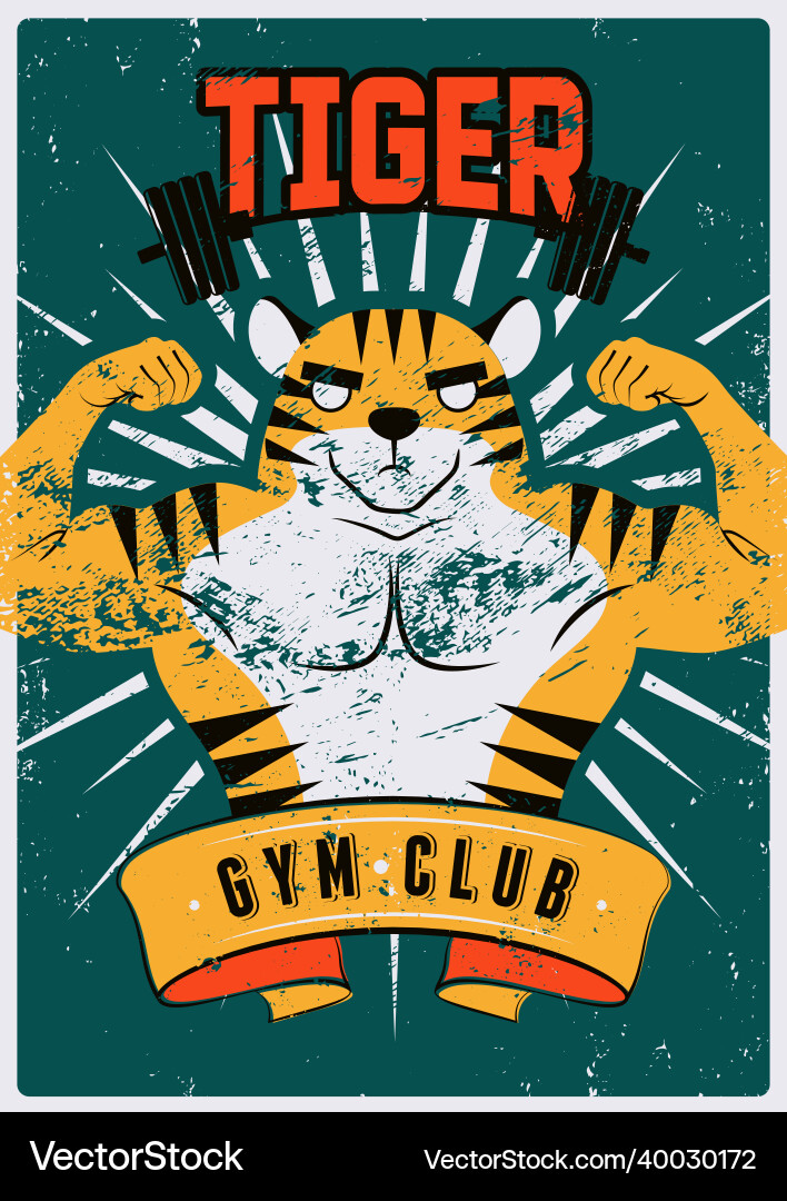 Muscular Tiger Gym Poster Royalty Free Vector Image