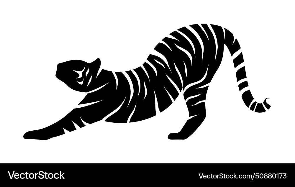 A black and white stretching tiger isolated Vector Image