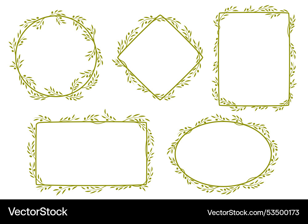 Olive leaf frames set of elegant borders Vector Image