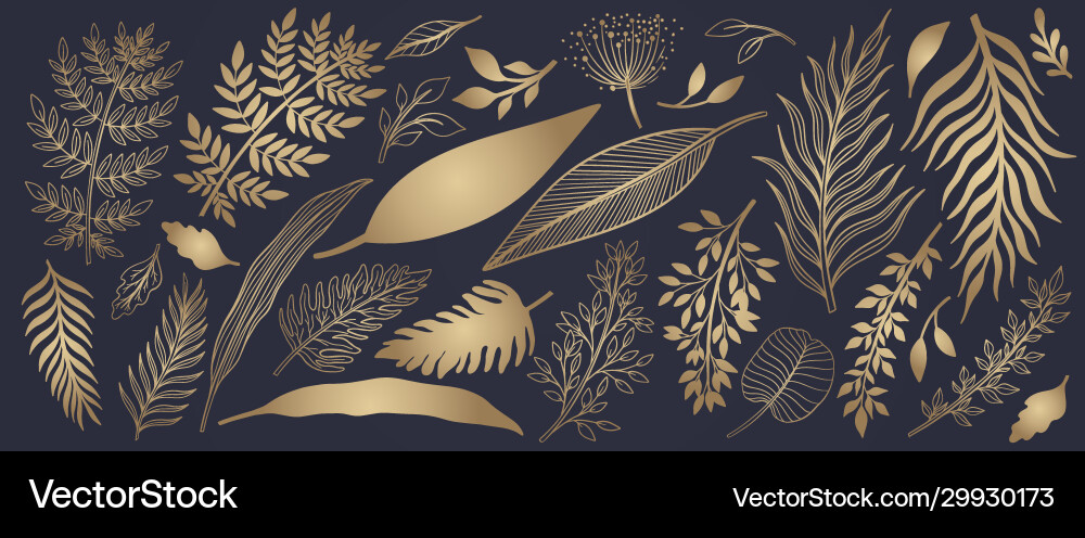Plant nature hand drawn set collection botanical Vector Image