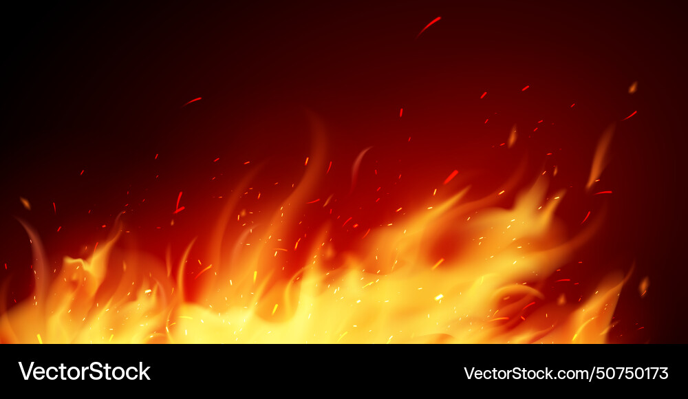 Realistic fire Royalty Free Vector Image - VectorStock