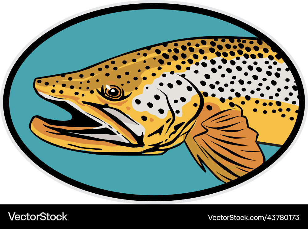 Trout fishing template Royalty Free Vector Image