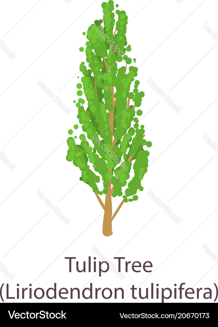 Tulip tree icon flat style Royalty Free Vector Image