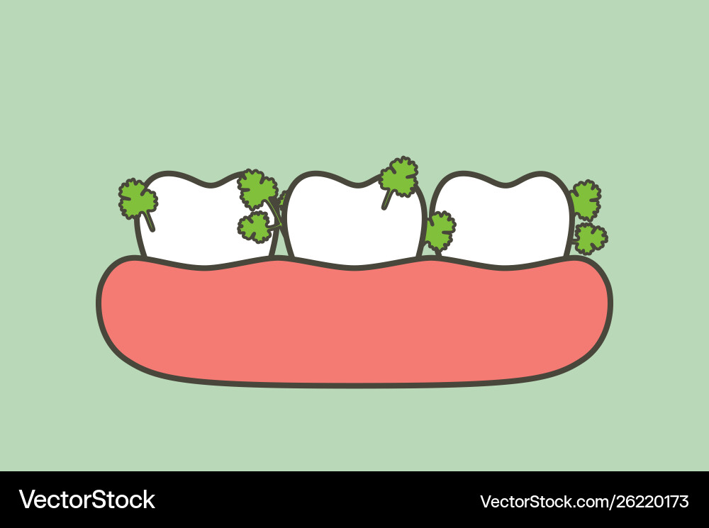 Vegetable stuck in teeth Royalty Free Vector Image